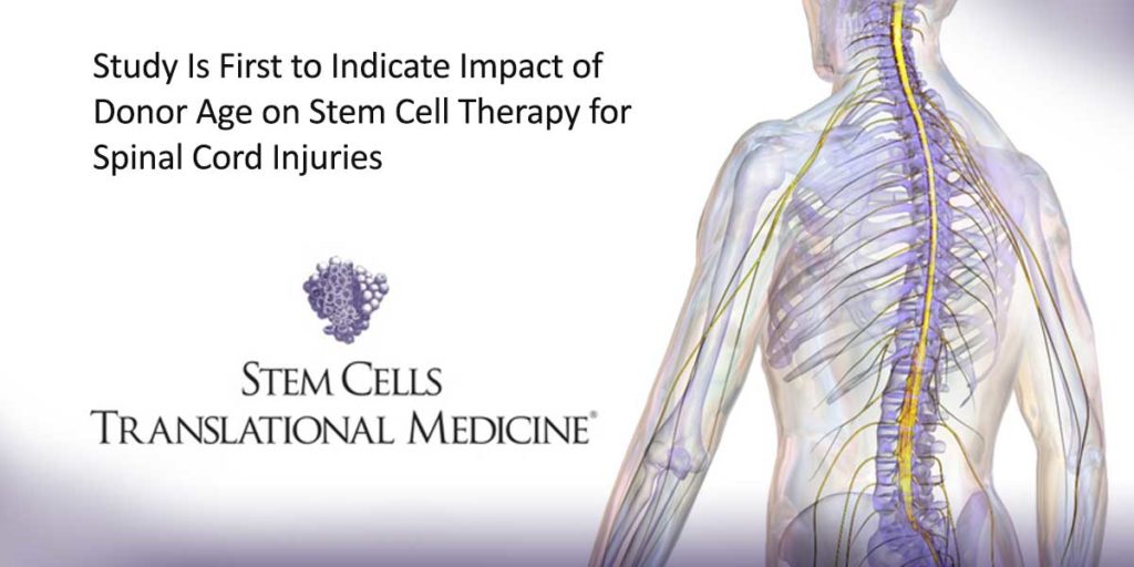 Study Is First to Indicate Impact of Donor Age on Stem Cell Therapy for ...